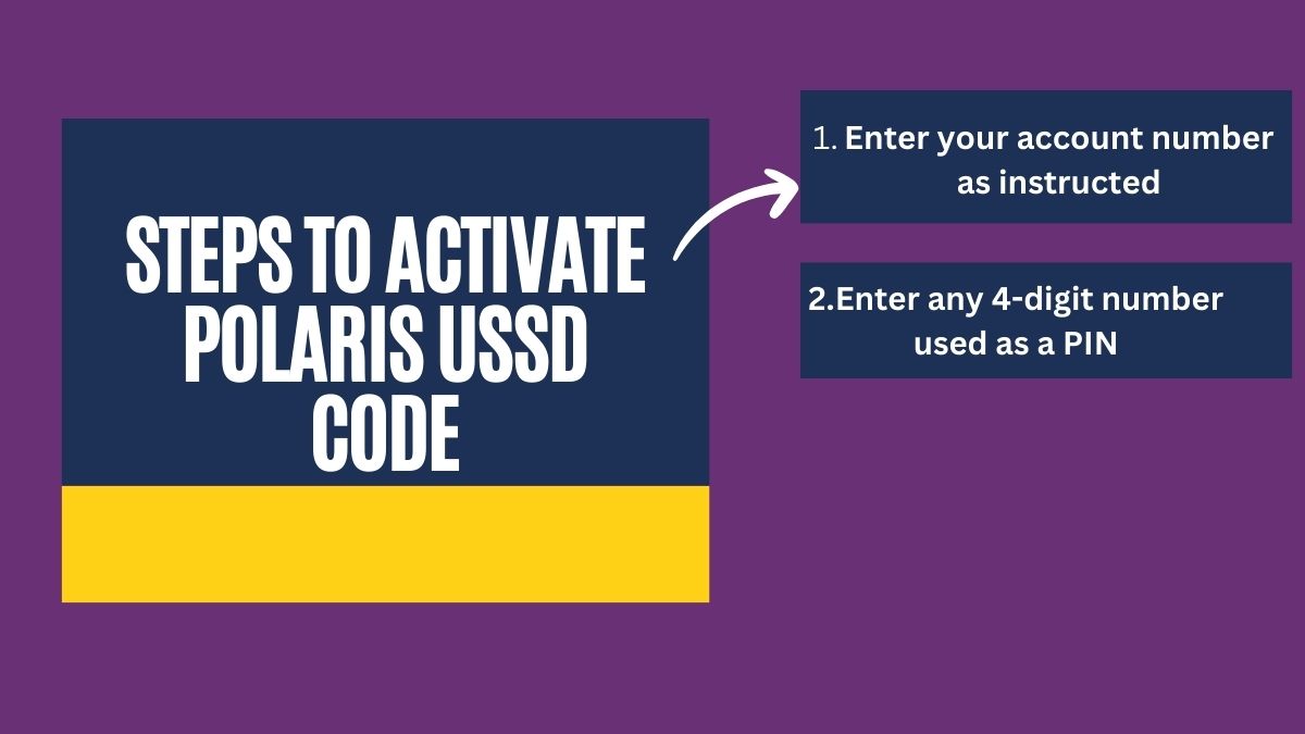 Polaris USSD Code Guide: Transfer, Balance Check & More